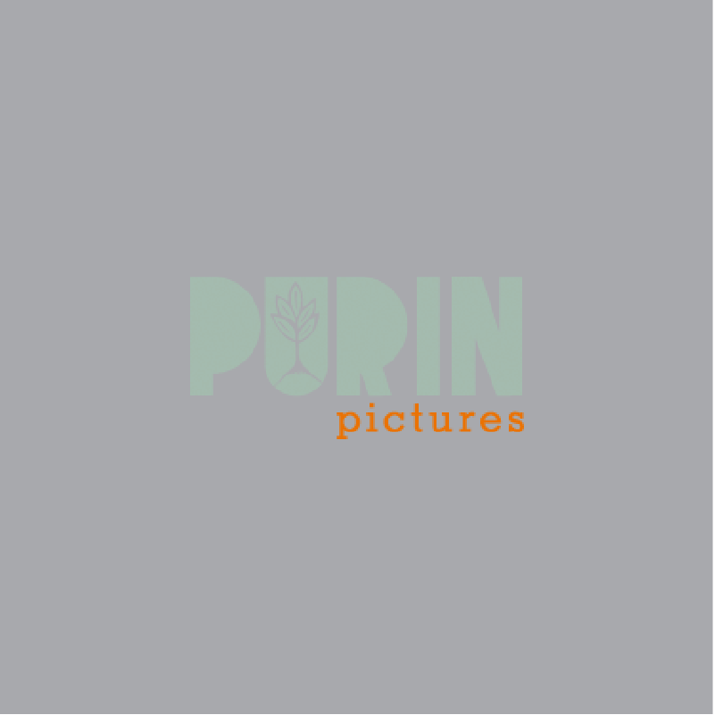 Purin Pictures - Eye Catcher