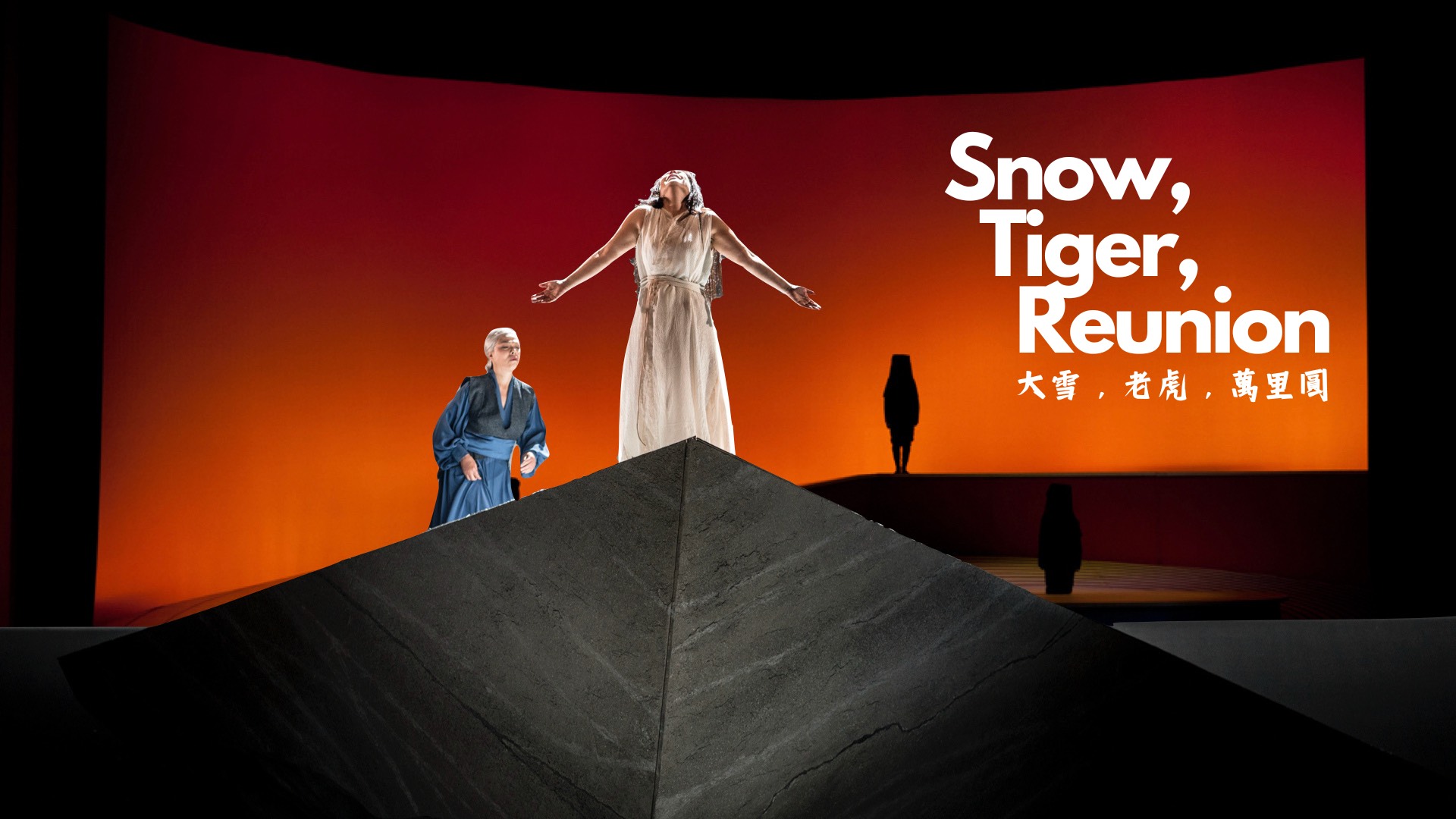 Snow, Tiger, Reunion | 大雪，老虎，萬里圓 - Eye Catcher